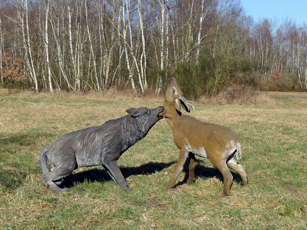 Wolf reißt Reh 0147-1 - tier.art